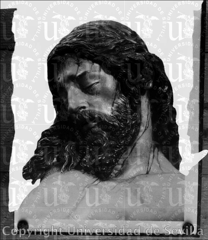 CITIUS | Colecciones